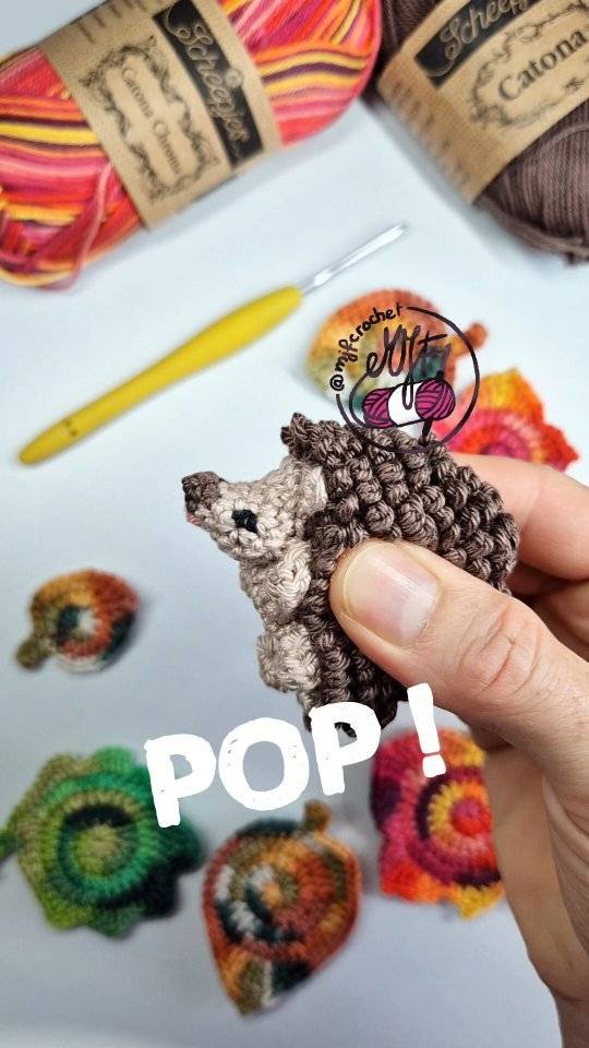 22 Hedgehog Crochet Fidget Toy Patterns - HelthDestiny